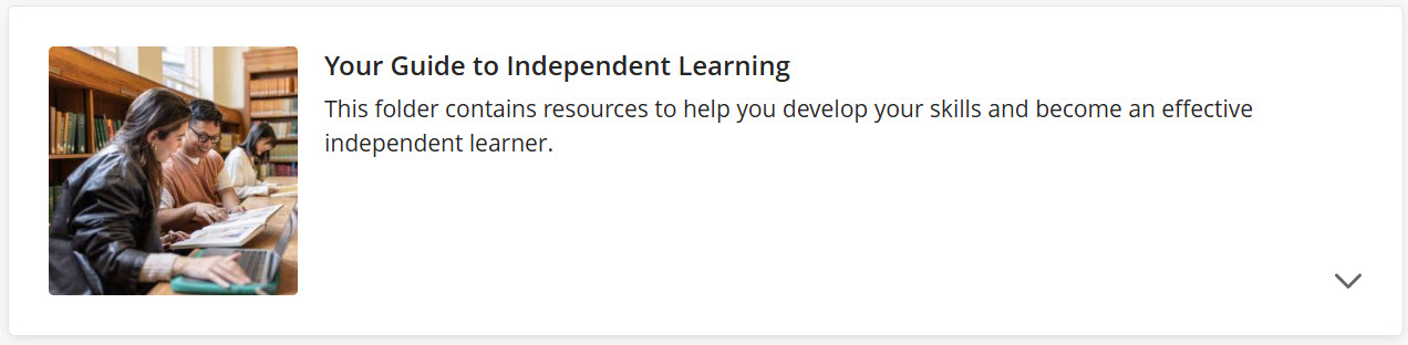 Getting Started with Minerva - Student Guides | Digital Education ...